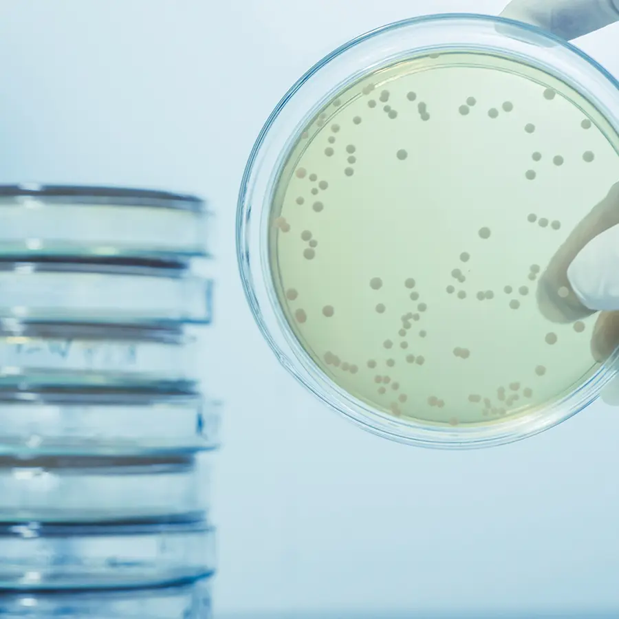 Our Values | Scotmas