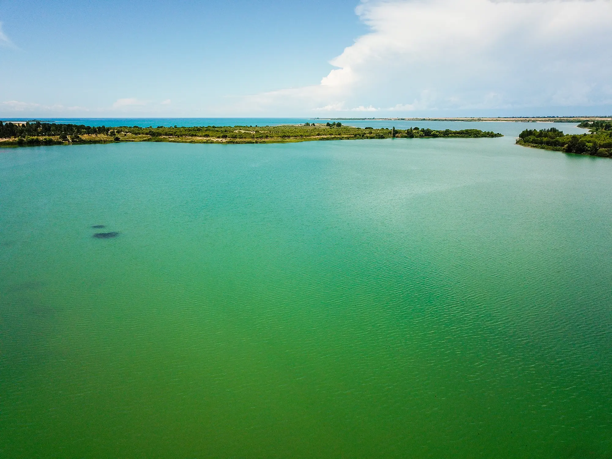 The Impact of Chlorine Dioxide on Algae Control in Water Systems ...